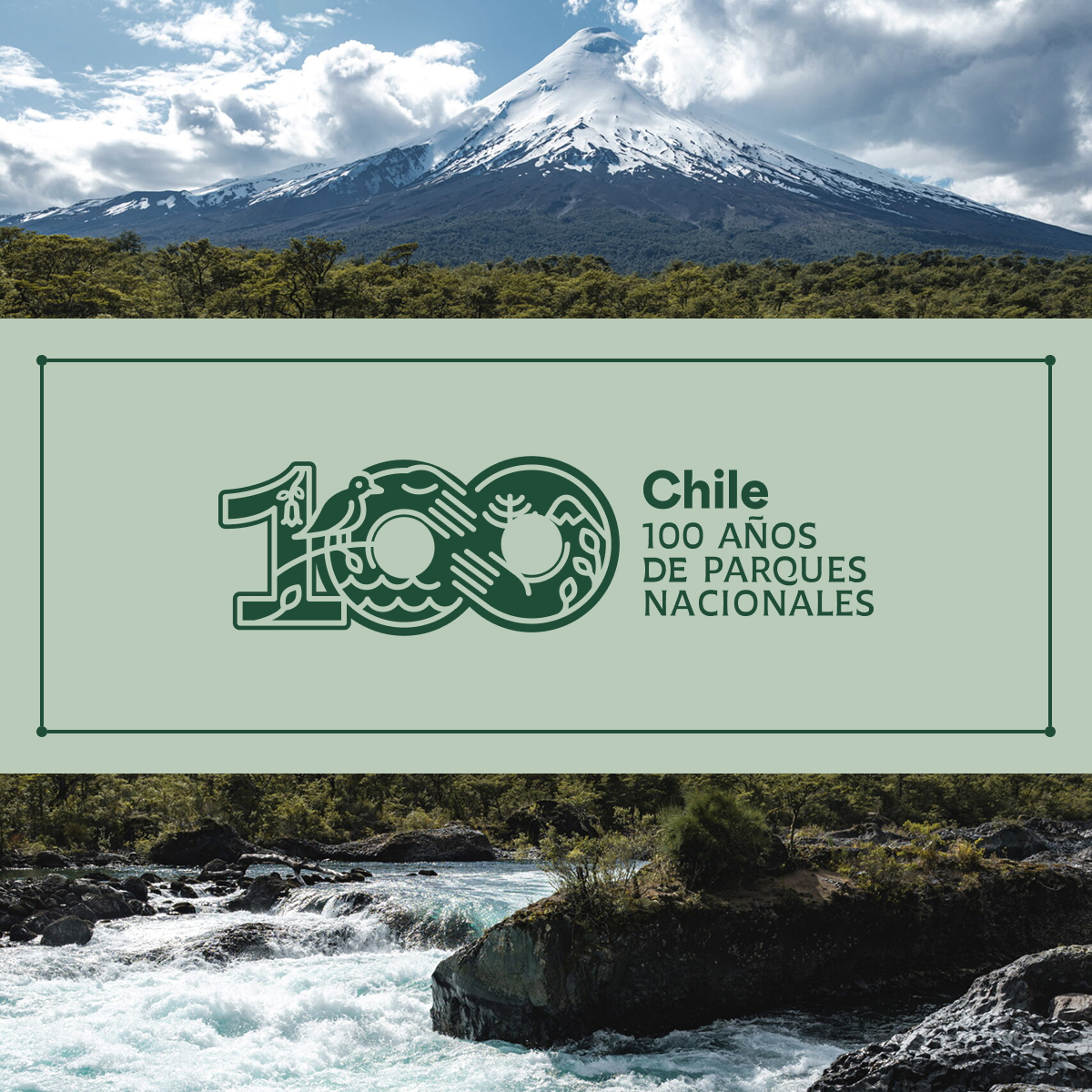 Natural es Cuidar | Chile | 100 años de Parques Nacionales